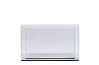 UNS Ultra Clear Tanks — Buce Plant