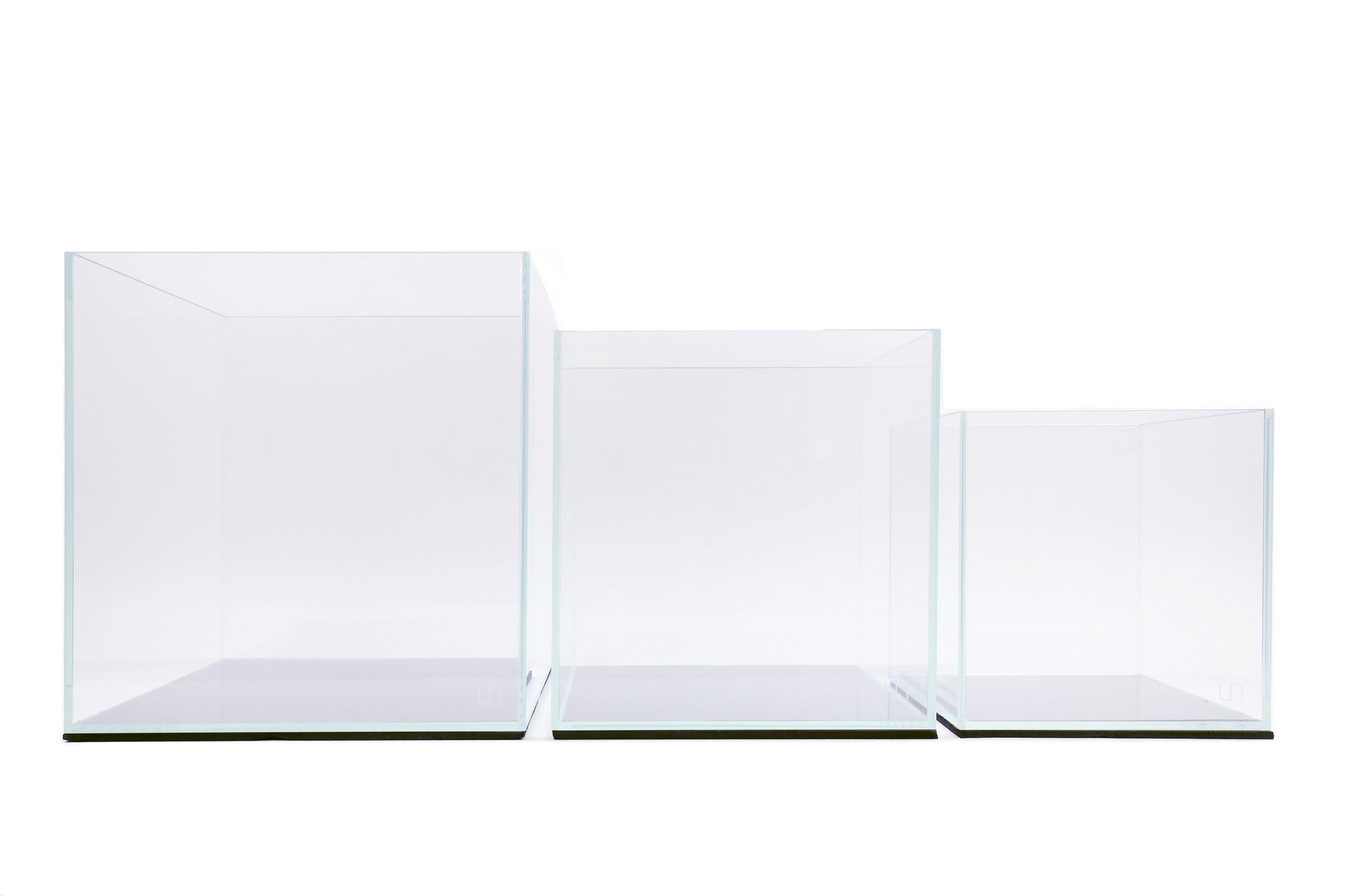 UNS Ultra Clear Tanks — Buce Plant