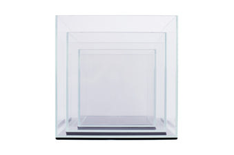 UNS Ultra Clear Tanks — Buce Plant