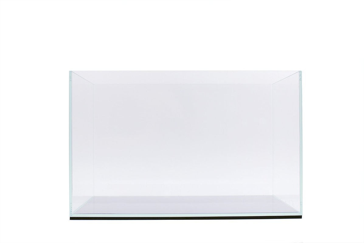 UNS Ultra Clear Tanks — Buce Plant