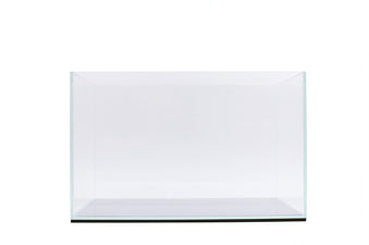 UNS Ultra Clear Tanks — Buce Plant