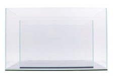 UNS Ultra Clear Tanks — Buce Plant